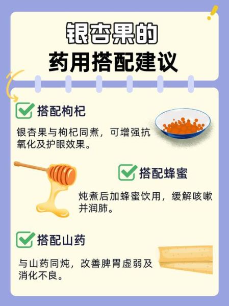 银杏果的功效与作用_银杏果的食用方法和禁忌-第1张图片-山城妙识 银杏果的功效与作用_银杏果的食用方法和禁忌-第1张图片-山城妙识