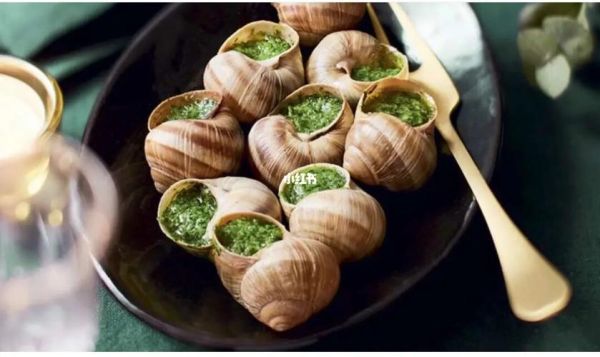 法国蜗牛养殖赚钱吗_法国蜗牛养殖技术-第3张图片-山城妙识 法国蜗牛养殖赚钱吗_法国蜗牛养殖技术-第3张图片-山城妙识