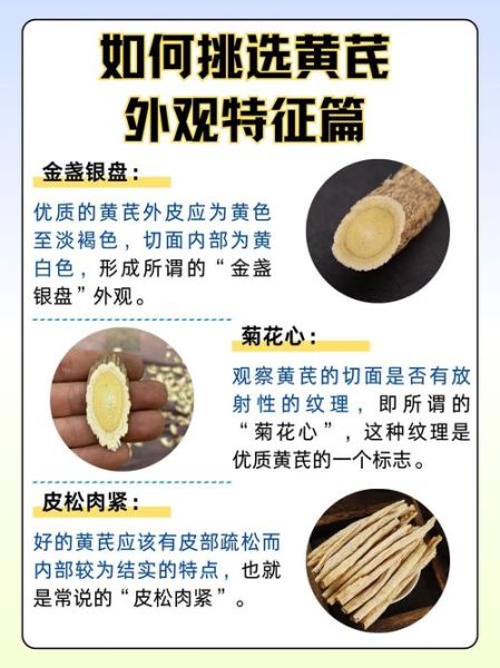 黄芪和什么泡不上火又补气血_不上火的黄芪搭配-第2张图片-山城妙识