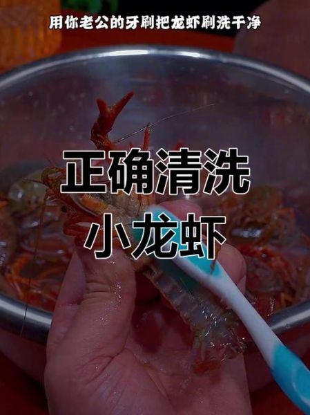 龙虾怎么清洗才干净_活龙虾清洗步骤-第2张图片-山城妙识