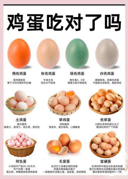 土鸡蛋和洋鸡蛋的区别是什么_哪个营养更高-第1张图片-山城妙识