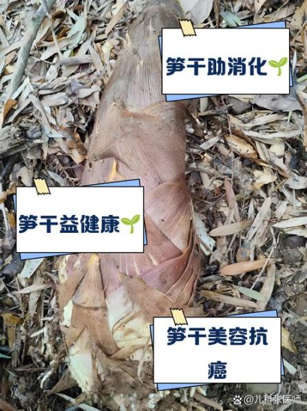 炒干竹笋丝怎么泡发_干竹笋丝炒多久才脆-第1张图片-山城妙识 炒干竹笋丝怎么泡发_干竹笋丝炒多久才脆-第1张图片-山城妙识