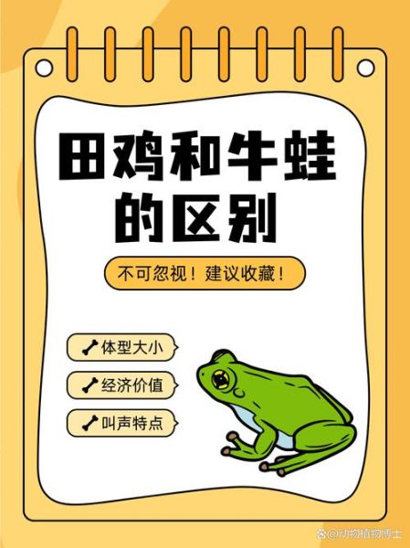 田鸡蛙图片_如何区分田鸡与青蛙-第2张图片-山城妙识