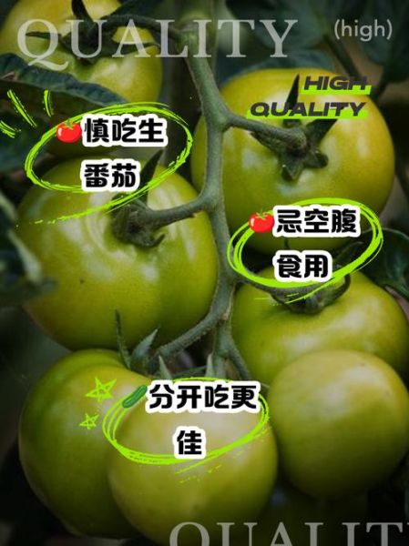 番茄哪些人不能吃_番茄禁忌人群有哪些-第3张图片-山城妙识