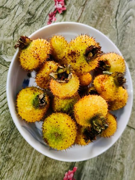 野生刺梨果图片_野生刺梨果长什么样-第3张图片-山城妙识