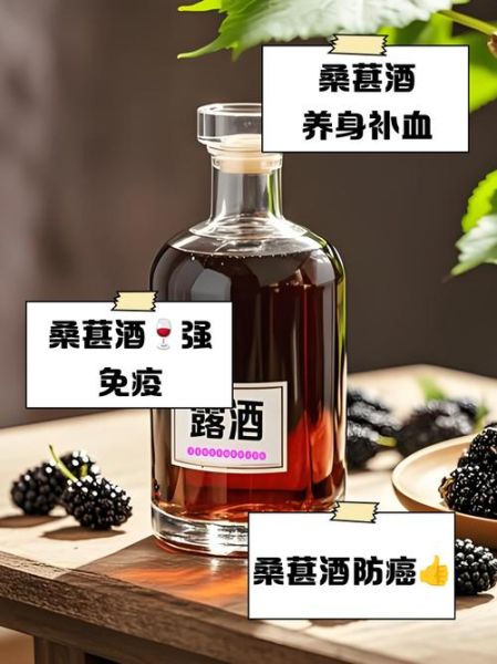 桑葚酒的功效与作用_什么时候喝好-第2张图片-山城妙识