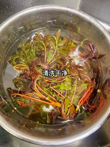 香椿拌豆腐怎么做好吃_香椿拌豆腐的家常做法-第3张图片-山城妙识