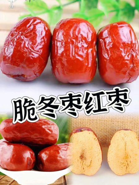 脆冬枣怎么保存_脆冬枣的功效与作用-第1张图片-山城妙识
