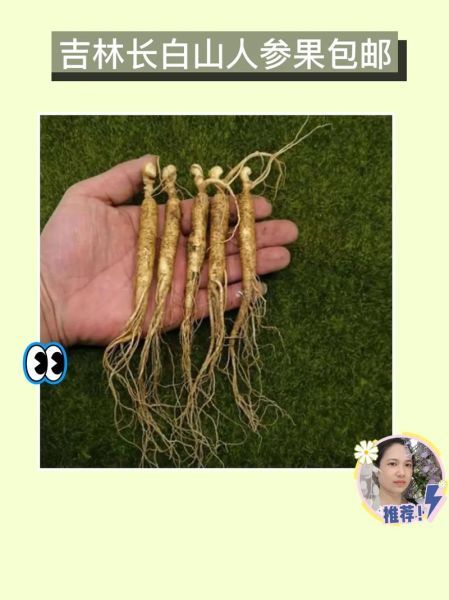 炒鸡肉要不要焯水_焯水后口感会变柴吗-第1张图片-山城妙识 炒鸡肉要不要焯水_焯水后口感会变柴吗-第1张图片-山城妙识