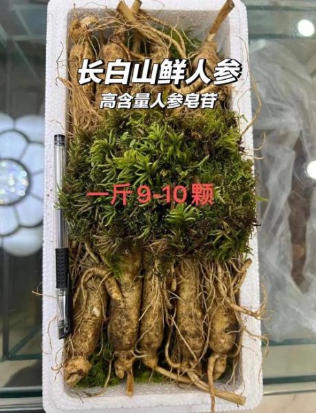 鲜人参价格多少钱一斤_鲜人参怎么挑选-第3张图片-山城妙识
