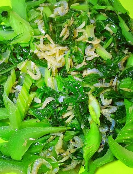 盖菜图片长什么样_盖菜和芥菜的区别-第3张图片-山城妙识 盖菜图片长什么样_盖菜和芥菜的区别-第3张图片-山城妙识