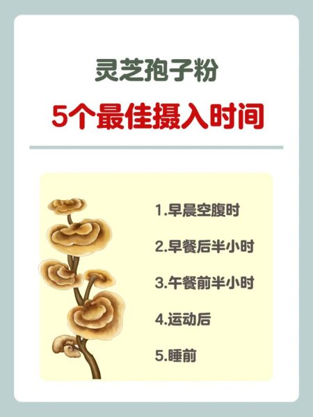 灵芝孢子粉饭前吃还是饭后吃_正确吃法全解析-第1张图片-山城妙识