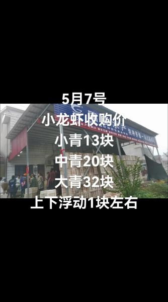 小龙虾价格走势_今日小龙虾多少钱一斤-第1张图片-山城妙识