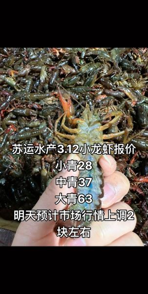 小龙虾价格走势_今日小龙虾多少钱一斤-第3张图片-山城妙识