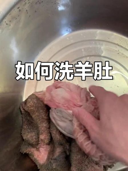 羊肚怎么洗才干净_羊肚清洗的正确方法-第1张图片-山城妙识