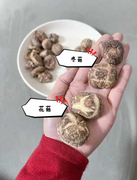 花菇怎么做好吃_花菇的做法大全家常-第2张图片-山城妙识