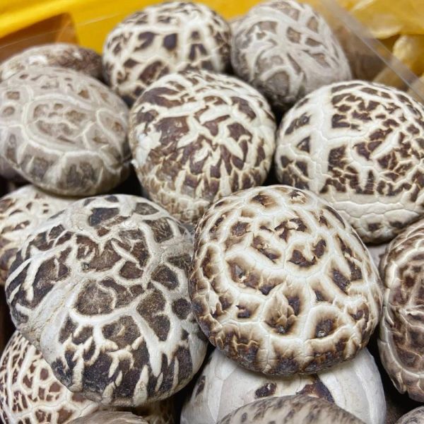 花菇怎么做好吃_花菇的做法大全家常-第3张图片-山城妙识