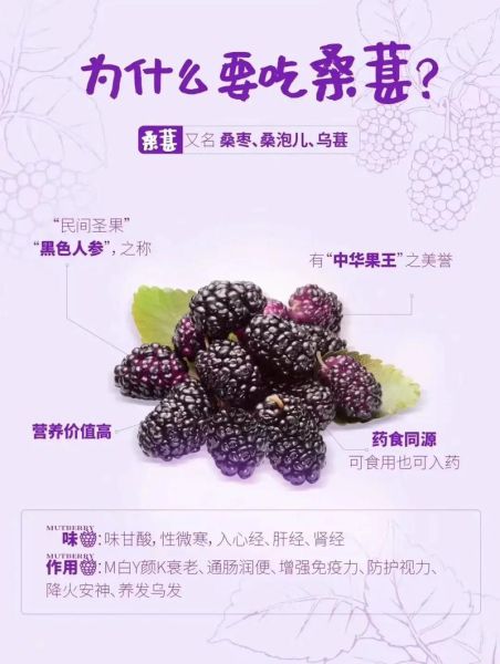 桑葚干一天吃多少合适_桑葚干的功效与作用-第1张图片-山城妙识 桑葚干一天吃多少合适_桑葚干的功效与作用-第1张图片-山城妙识