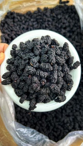 桑葚干一天吃多少合适_桑葚干的功效与作用-第2张图片-山城妙识 桑葚干一天吃多少合适_桑葚干的功效与作用-第2张图片-山城妙识