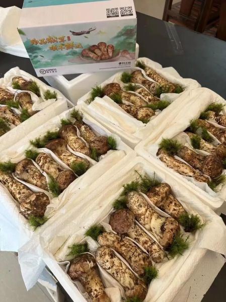 松茸怎么吃效果最好_松茸怎么保存营养不流失-第3张图片-山城妙识 松茸怎么吃效果最好_松茸怎么保存营养不流失-第3张图片-山城妙识