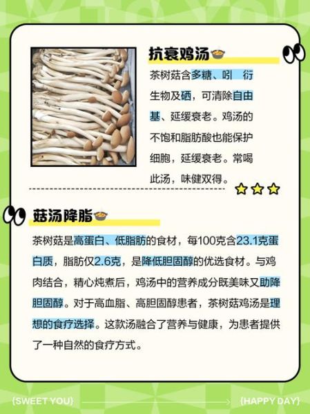 炖鸡汤茶树菇什么时候放_茶树菇炖鸡最佳时间-第3张图片-山城妙识 炖鸡汤茶树菇什么时候放_茶树菇炖鸡最佳时间-第3张图片-山城妙识