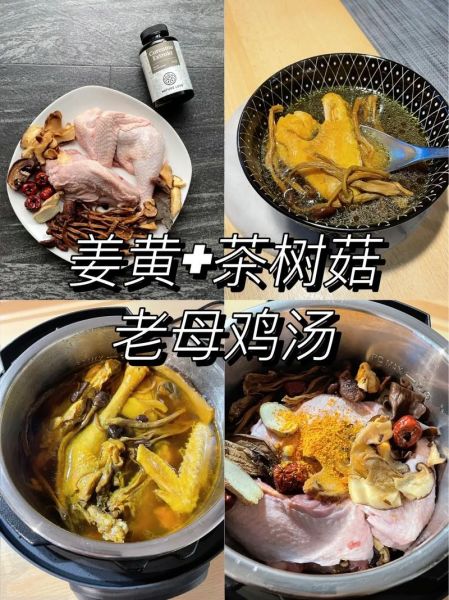 炖鸡汤茶树菇什么时候放_茶树菇炖鸡最佳时间-第2张图片-山城妙识 炖鸡汤茶树菇什么时候放_茶树菇炖鸡最佳时间-第2张图片-山城妙识
