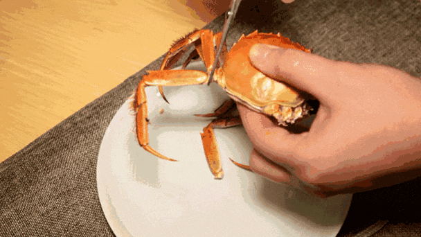 螃蟹怎么吃图解_螃蟹剥法动图步骤-第2张图片-山城妙识 螃蟹怎么吃图解_螃蟹剥法动图步骤-第2张图片-山城妙识