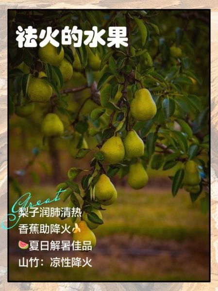 什么水果去火_去火水果有哪些-第3张图片-山城妙识