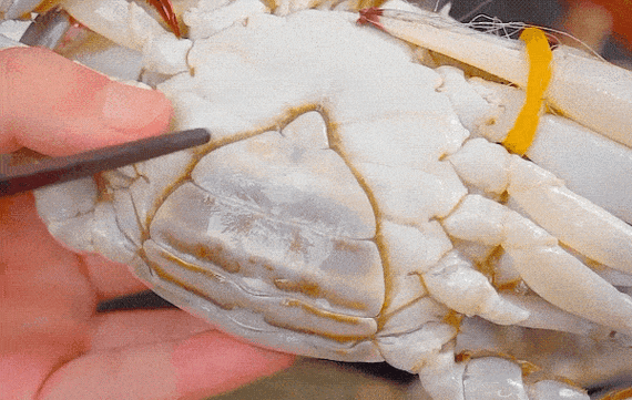 螃蟹怎么吃图解_螃蟹剥法动图步骤-第3张图片-山城妙识 螃蟹怎么吃图解_螃蟹剥法动图步骤-第3张图片-山城妙识