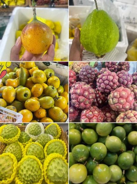 世界水果大全名称_热带水果有哪些-第1张图片-山城妙识 世界水果大全名称_热带水果有哪些-第1张图片-山城妙识