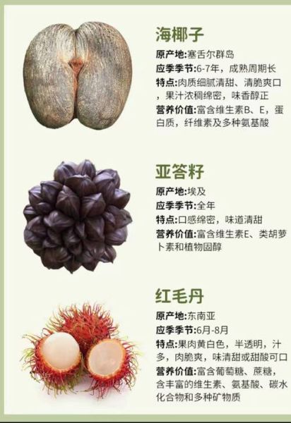 世界水果大全名称_热带水果有哪些-第2张图片-山城妙识 世界水果大全名称_热带水果有哪些-第2张图片-山城妙识