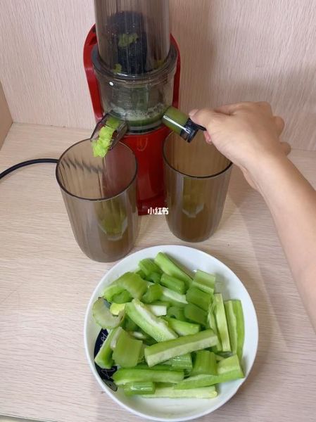 芹菜苦瓜汁怎么做_芹菜苦瓜汁的功效与禁忌-第3张图片-山城妙识 芹菜苦瓜汁怎么做_芹菜苦瓜汁的功效与禁忌-第3张图片-山城妙识