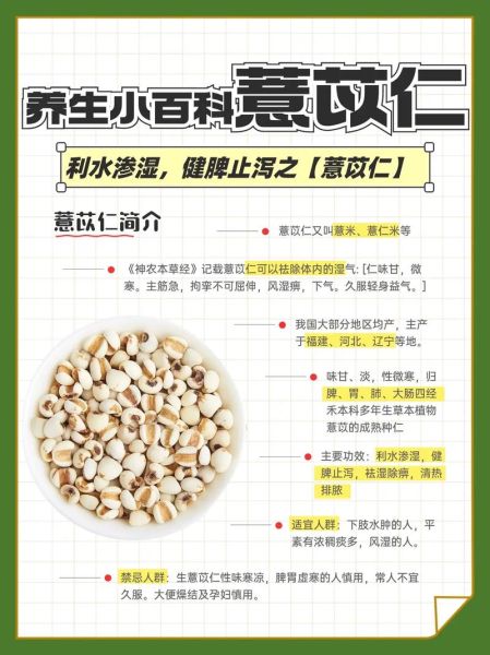 薏仁的功效与作用_薏仁怎么吃祛湿效果最好-第1张图片-山城妙识
