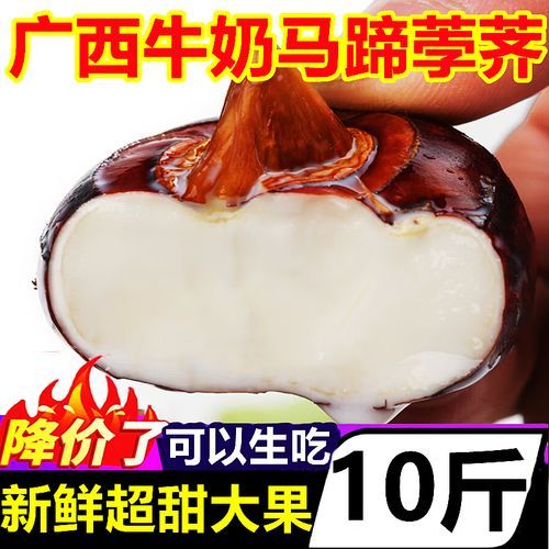 马蹄莲图片水果_马蹄莲果实能吃吗-第2张图片-山城妙识