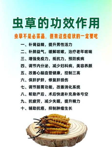 虫草什么人不能吃_虫草副作用有哪些-第1张图片-山城妙识 虫草什么人不能吃_虫草副作用有哪些-第1张图片-山城妙识