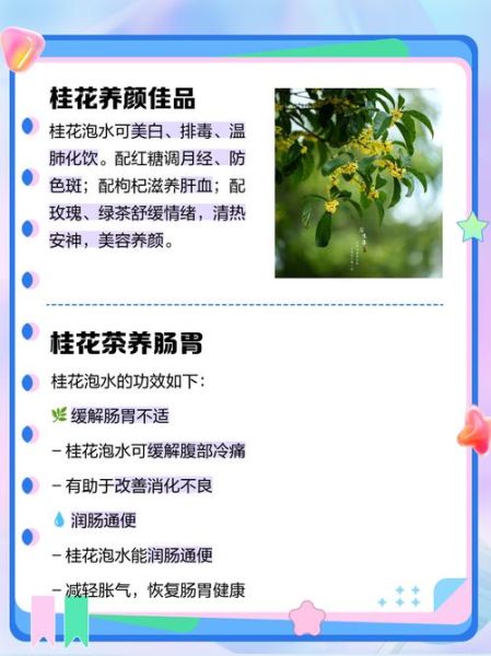 桂花的功效与作用是什么_桂花泡水喝有什么好处-第1张图片-山城妙识