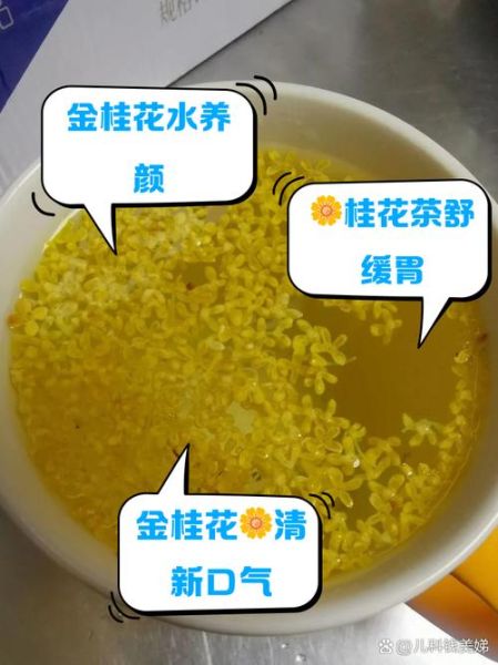 桂花的功效与作用是什么_桂花泡水喝有什么好处-第2张图片-山城妙识