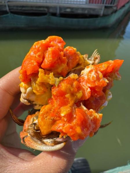 阳澄湖大闸蟹在哪个省哪个市_正宗产地-第1张图片-山城妙识 阳澄湖大闸蟹在哪个省哪个市_正宗产地-第1张图片-山城妙识