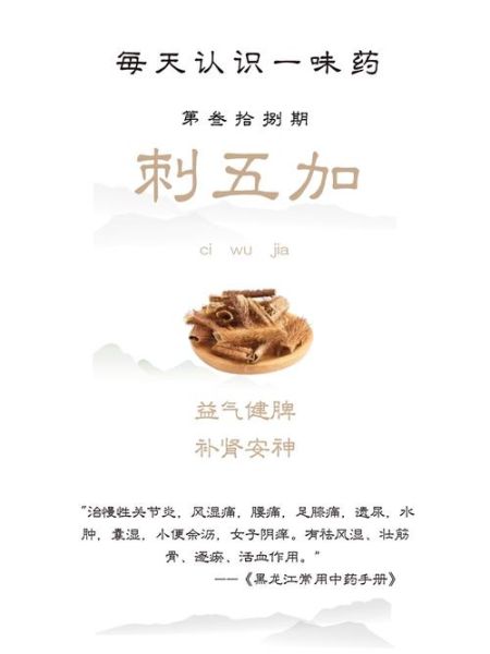 刺五加片的功效与作用_刺五加片适合什么人吃-第3张图片-山城妙识