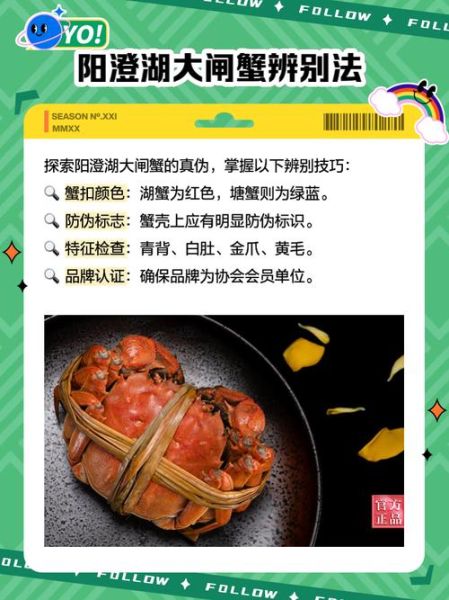 阳澄湖大闸蟹品牌店哪家好_正宗阳澄湖大闸蟹怎么选-第3张图片-山城妙识