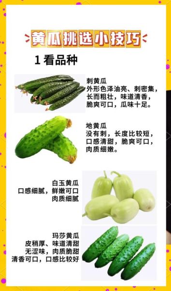 黄瓜图片大全大图_如何挑选高清素材-第1张图片-山城妙识 黄瓜图片大全大图_如何挑选高清素材-第1张图片-山城妙识