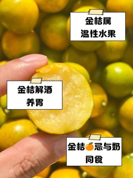 金橘是寒性还是温性_金橘上火还是降火-第1张图片-山城妙识