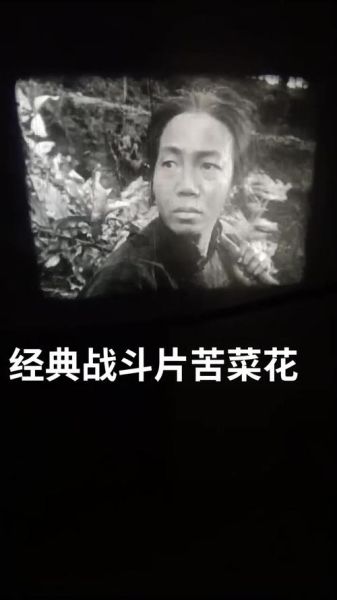 苦菜花电影剧情讲了什么_苦菜花电影完整版哪里看-第1张图片-山城妙识