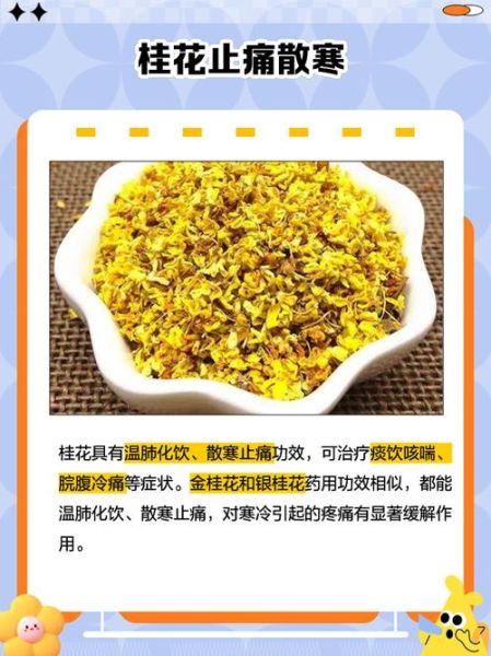 金桂花有什么功效_金桂花的作用与禁忌-第2张图片-山城妙识