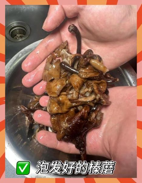 干榛蘑要泡多久_干榛蘑泡发多久才没沙-第1张图片-山城妙识