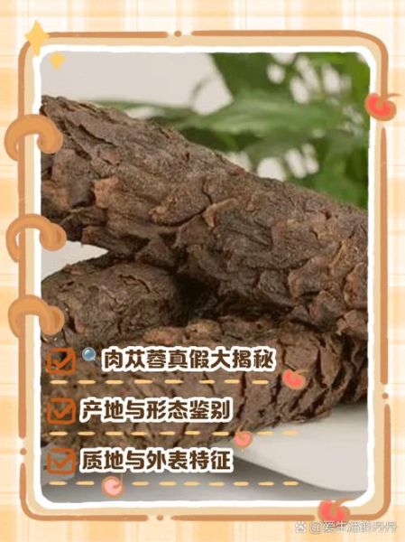 野生肉苁蓉多少钱一斤_如何辨别真假-第1张图片-山城妙识 野生肉苁蓉多少钱一斤_如何辨别真假-第1张图片-山城妙识