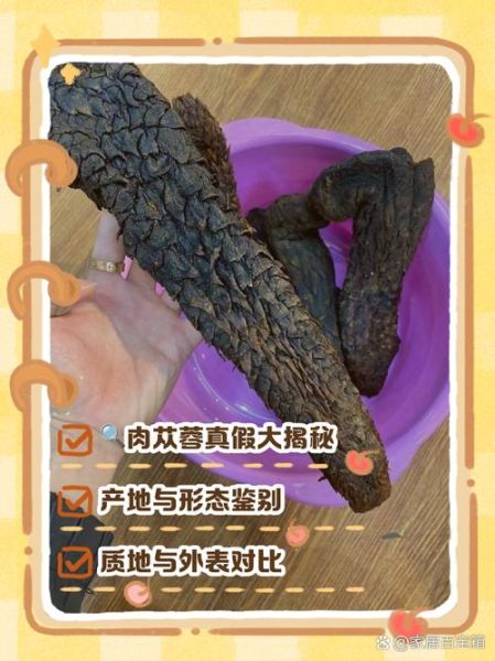 野生肉苁蓉多少钱一斤_如何辨别真假-第2张图片-山城妙识 野生肉苁蓉多少钱一斤_如何辨别真假-第2张图片-山城妙识