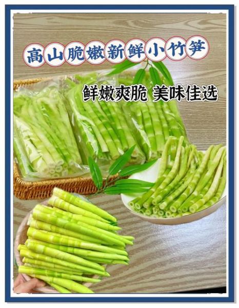 小竹笋的功效与作用_小竹笋怎么吃最营养-第2张图片-山城妙识