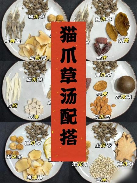 猫爪草怎么服用_猫爪草一天吃几次-第3张图片-山城妙识