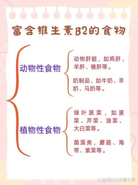 维生素b2含量高的食物有哪些_维生素b2缺乏吃什么补得快-第2张图片-山城妙识